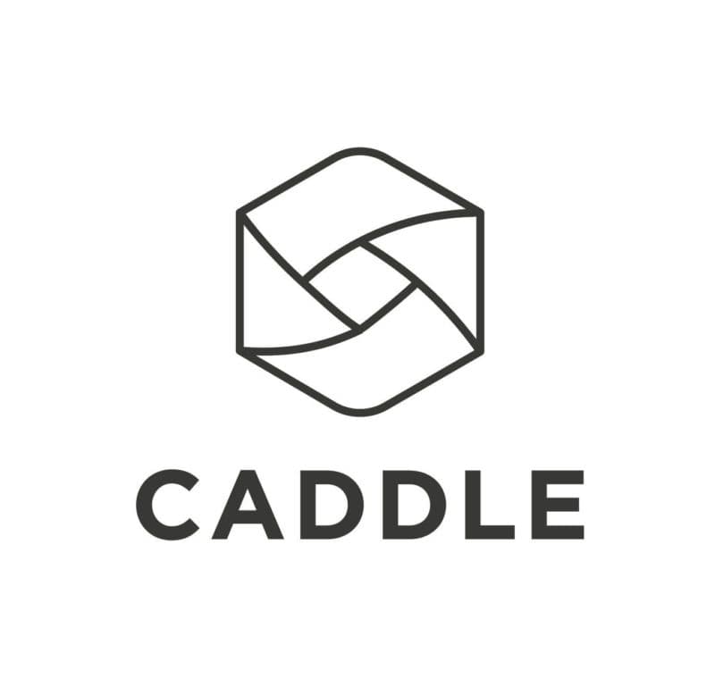 Company: How We Help You Make Better Decisions, Faster | Caddle